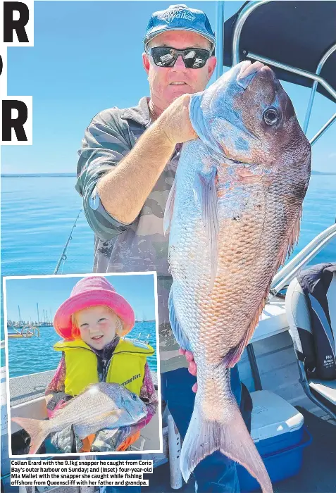SOUNDER SETS UP SNAPPER - PressReader