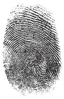 My wife tells me that Blondie’s The Tide Is High is a cover version ...