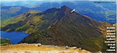 True scale of litter blight on peak revealed - PressReader