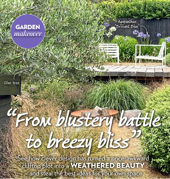 “From blustery battle to breezy bliss” - PressReader