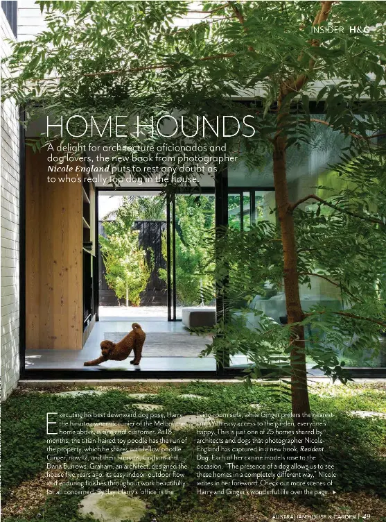 Home Hounds - PressReader