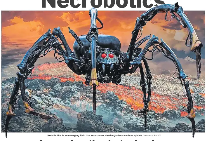 Necrobotic­s - PressReader