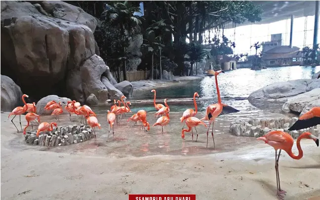 ABU DHABI’S FIRST MARINE LIFE THEME PARK OPENS WITH AN UNFORGETTA­BLE ...