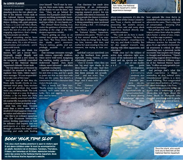 Ever wanted to feed a shark? Now you can... - PressReader