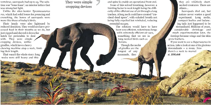 NATURAL WORLD - PressReader