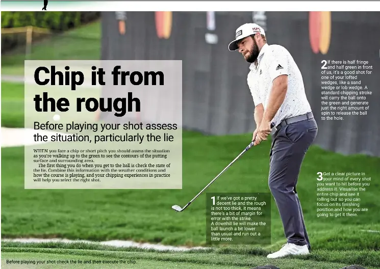 Chip it from the rough - PressReader