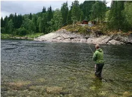 DEAR BJARKEY... - PressReader