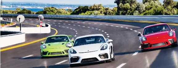 La maxi pista della Porsche in Puglia I verdi tedeschi: non abbattete ...