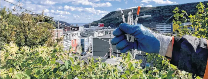 ‘That fear is real’ - PressReader