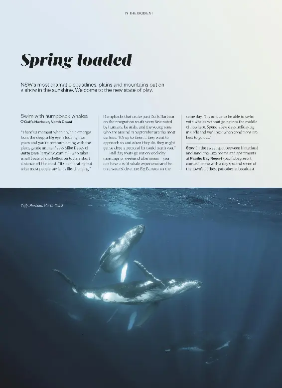 Spring loaded - PressReader