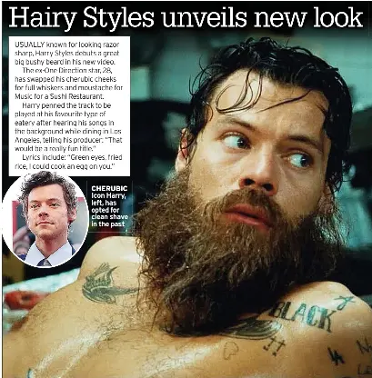 Hairy Styles unveils new look - PressReader