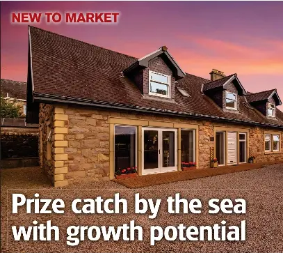 Prize catch by the sea with growth potential - PressReader