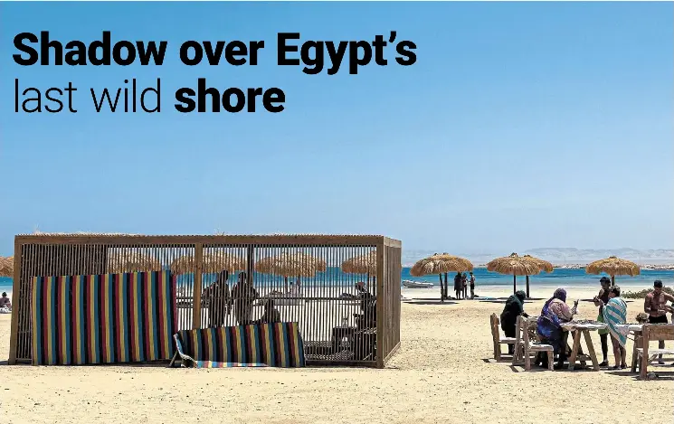 Shadow over Egypt’s last wild shore - PressReader