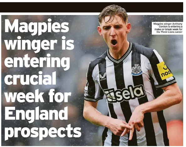 Magpies winger is entering crucial week for England prospects - PressReader