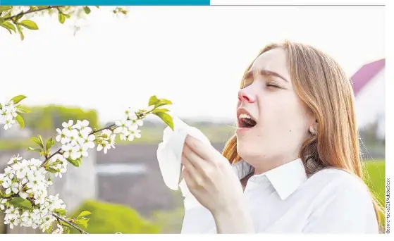 Des chercheurs identifien­t une molécule pour comprendre les allergies ...