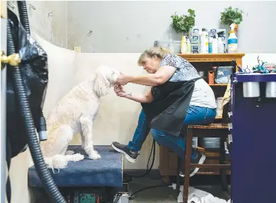 They have jobs, but no homes; America’s unseen homeless - PressReader