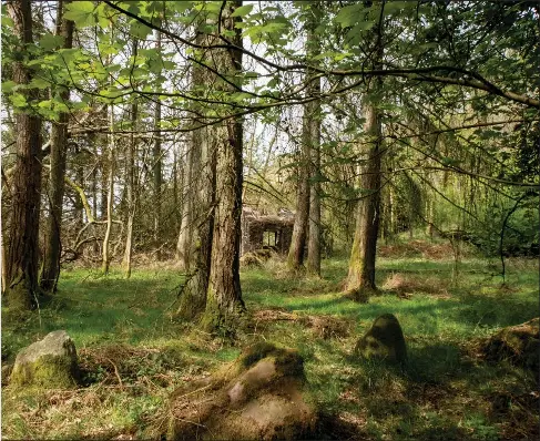 Lockdown photo essay - PressReader