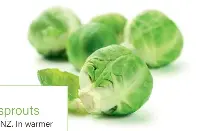 Plant Brussels sprouts - PressReader
