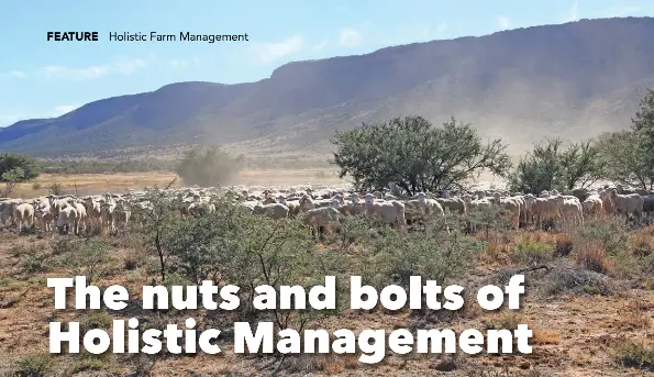 Holistic management: ‘It’s about much more than high-density grazing ...