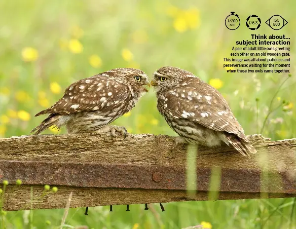 ACTION AND BEHAVIOUR - PressReader