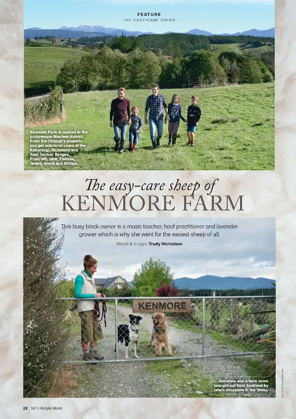 The easy-care sheep of Kenmore Farm - PressReader