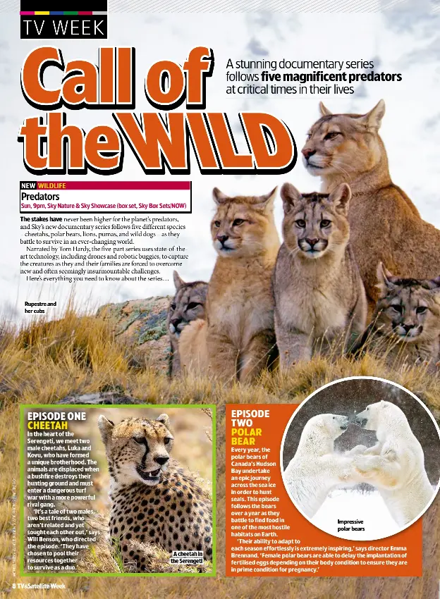 CALL OF THE WILD - PressReader