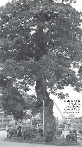 EARTH-BALLING 101 - PressReader