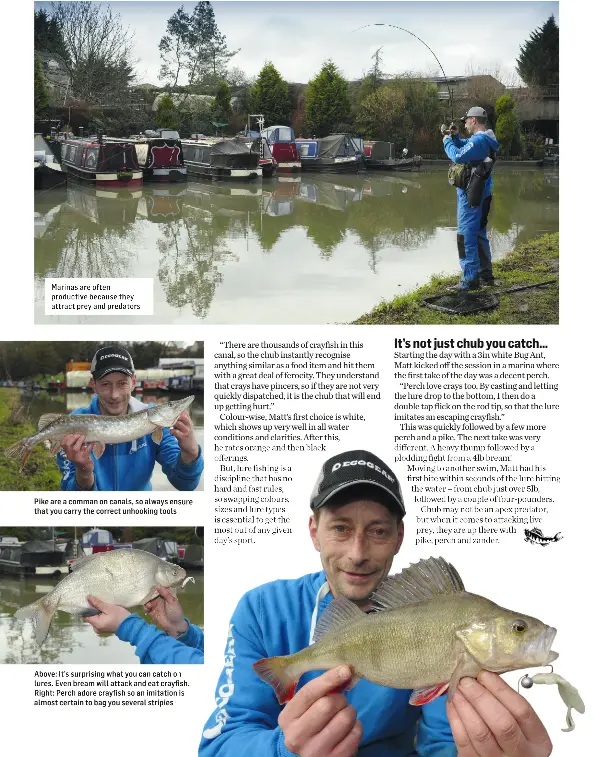 Creature baits - PressReader