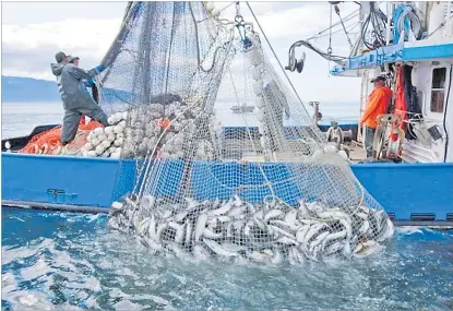 ‘Caught in the net’ - PressReader