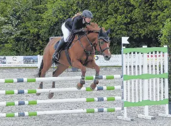 Gelungenes Pferdefest der RSG Öpfingen - PressReader