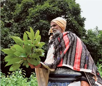 Conservati­on practices in the Global South undermine rights ...