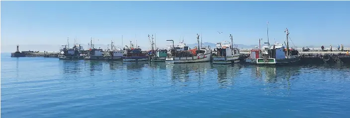 Veteran offers daring solutions to the fisheries crisis - PressReader