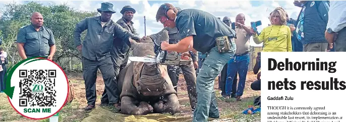 Dehorning nets results - PressReader