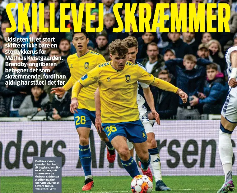 SKILLEVEJ SKRAEMMER - PressReader