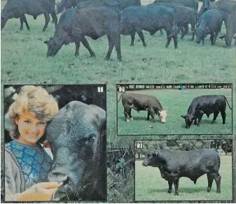 Nothing like a change - PressReader