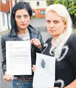 Women raise concerns over bed bug infestatio­n - PressReader