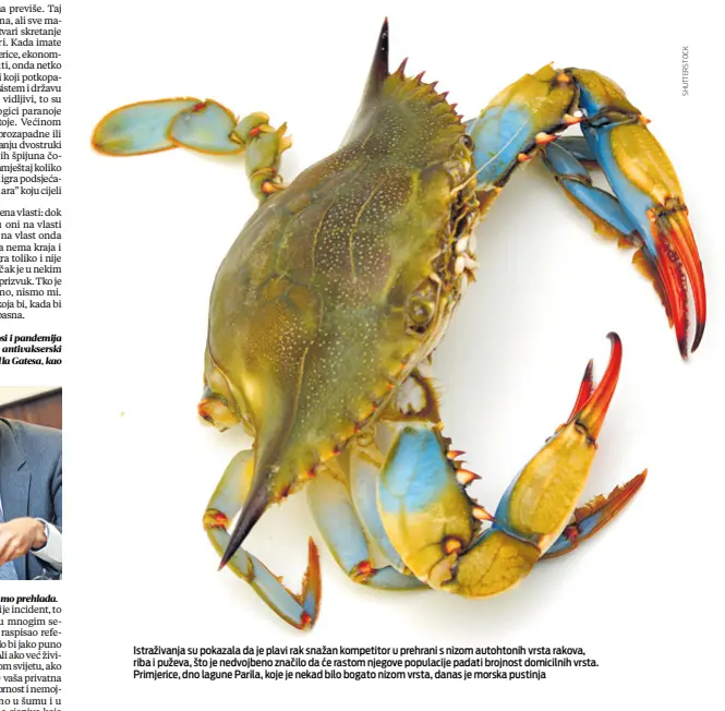 Zbog invazije američkog plavog raka Neretljani ostaju bez domaće ...