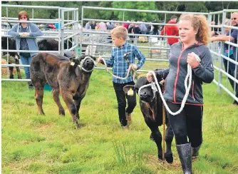 Kintyre success at MAS - PressReader