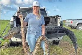 Python miles from Everglades leads invasion of unwanted pests - PressReader