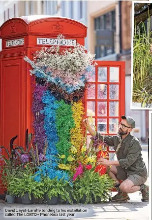 Flower fest will put SPRING in your step ... - PressReader