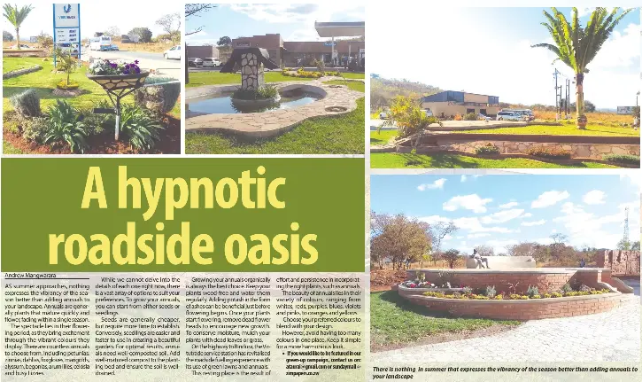 A hypnotic roadside oasis - PressReader