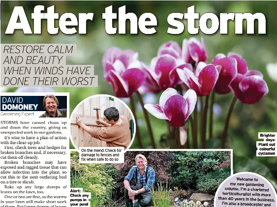 After the storm - PressReader