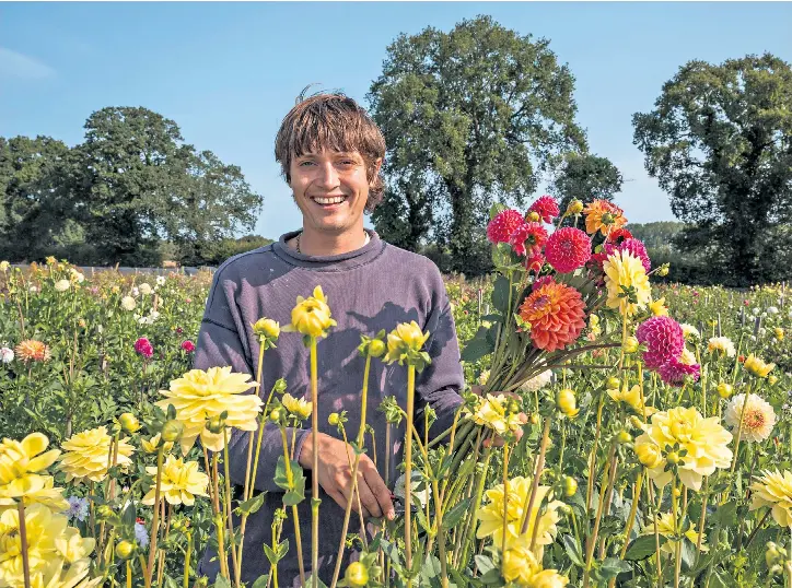How I beat the slugs to grow a whopping 250,000 blooms a year - PressReader