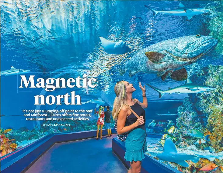 Magnetic north - PressReader