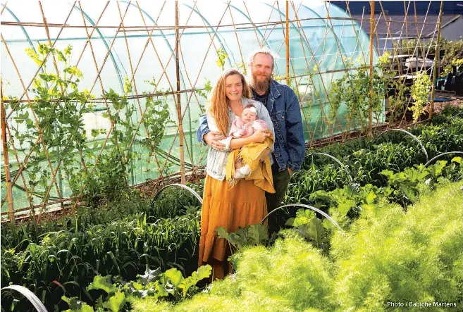 FRESH THINKING - PressReader