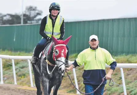 Romary up for race return - PressReader