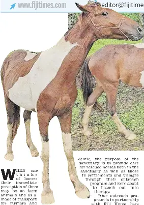 A horse shelter - PressReader