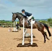 Sara Hope Brown - Reiki Practition­er Equine & Rider - PressReader