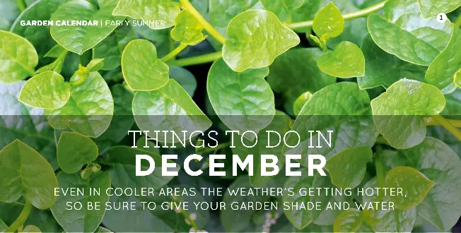 THINGS TO DO IN DECEMBER - PressReader