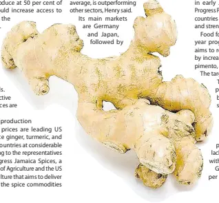 Jamaican ginger price too spicey - PressReader